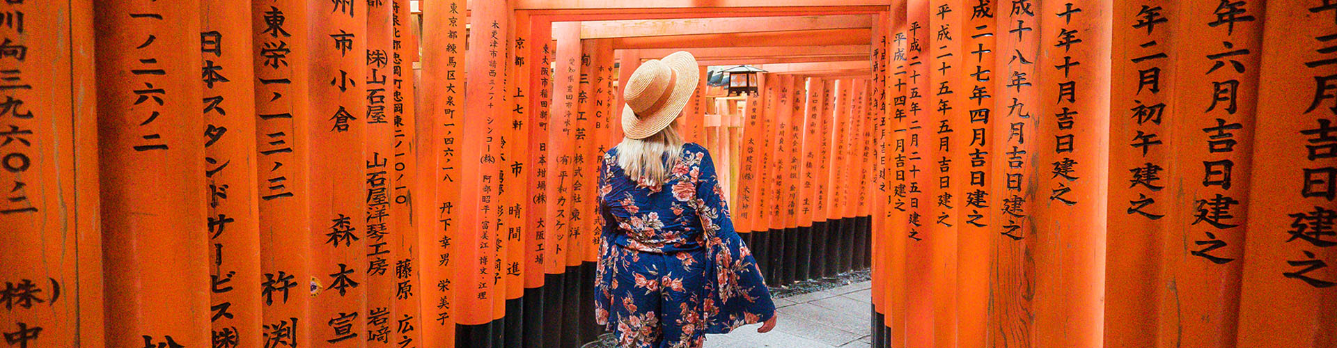 Japan Land Of The Rising Sun By Intrepid Tours With 200 Reviews Tour